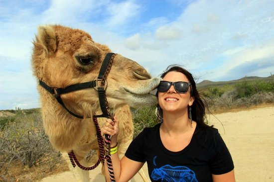 GEOGRAFI LINGKUNGAN: UNTA MAMALIA UNIK PADANG PASIR