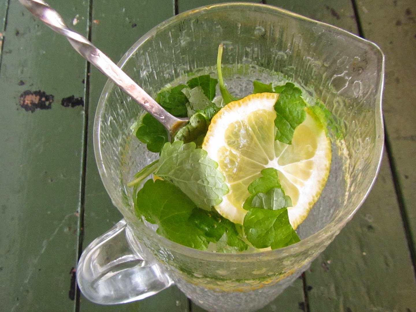 Rouva Tiainen - Mrs. Tiainen: Sitruunamelissa-sitruuna juomaa äidille