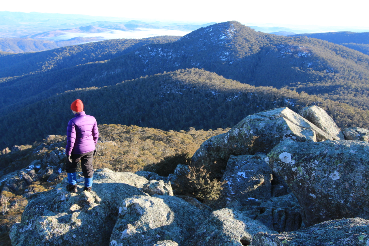 awildland: Tinderry Peak, Tinderry Nature Reserve, NSW