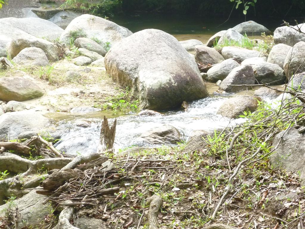 My 52 Sundays around IPOH: Ulu Kenas