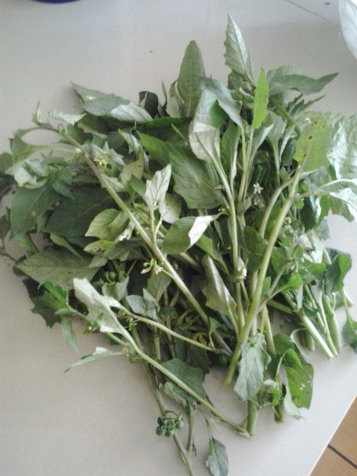 Cook 'Managu' (African Nightshade) in Cream/Milk | Kaari's kitchen