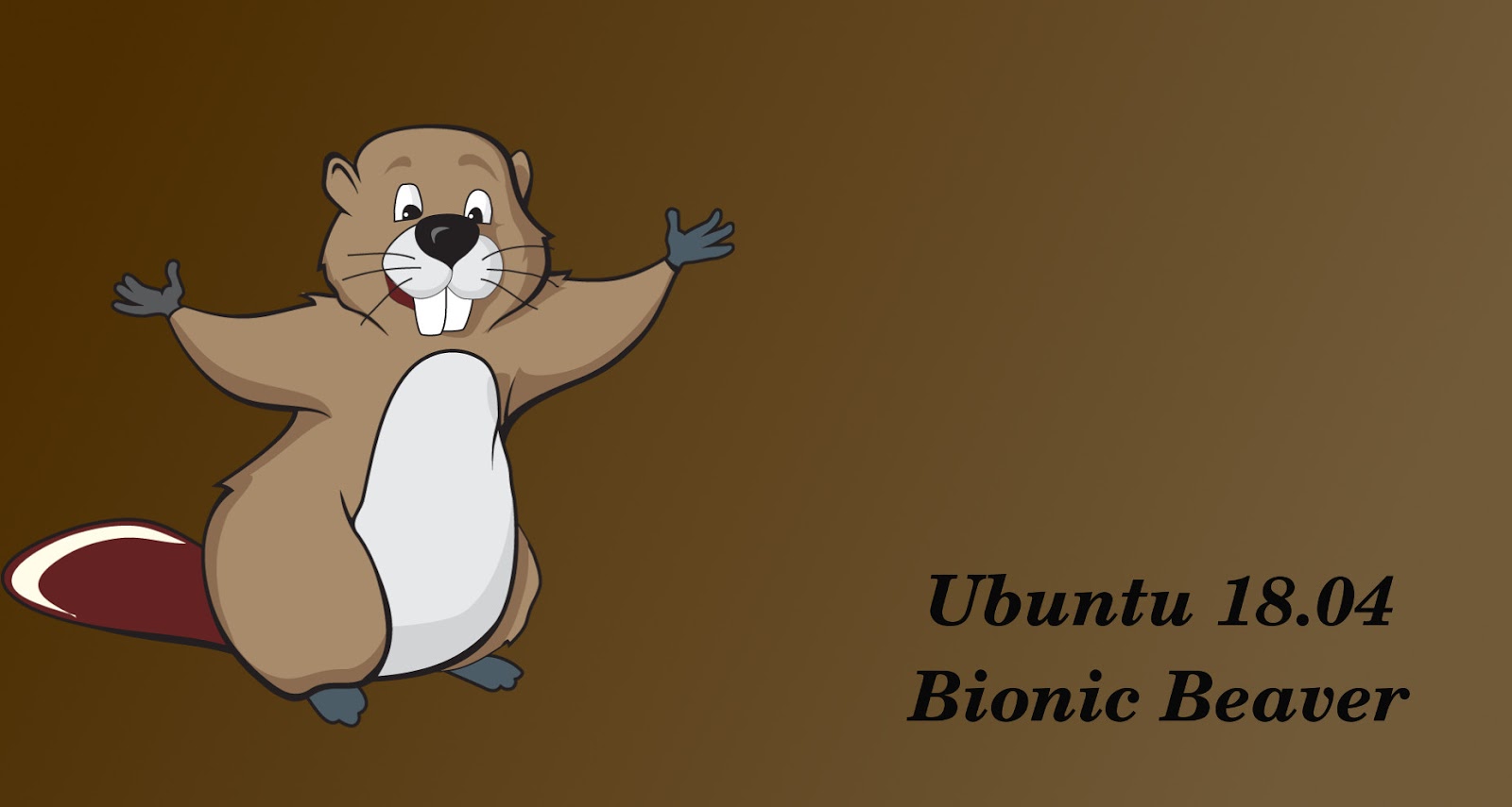 I love ubuntu!: UBUNTU 18.04 BIONIC BEAVER WALLPAPERS!!!!