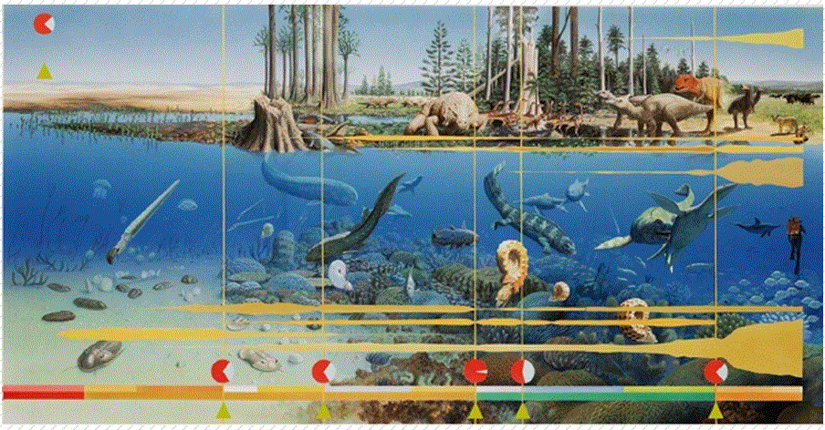 Evolution Des Organismes Vivants Et Histoire De La Terre 3eme - Aperçu ...
