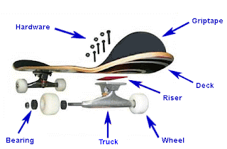 StoreYourBoard Blog: Skateboard Parts | Anatomy 101: The Skateboard and ...