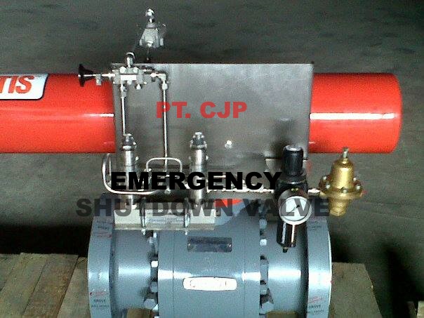 PT.Carlitos Joyohaslu Pratama: ESDV (Emergency Shutdown Valve)