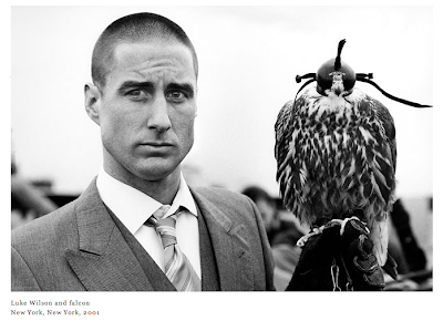 NICOLLETTE MOLLET | PHOTOGRAPHER: 18: LAURA WILSON