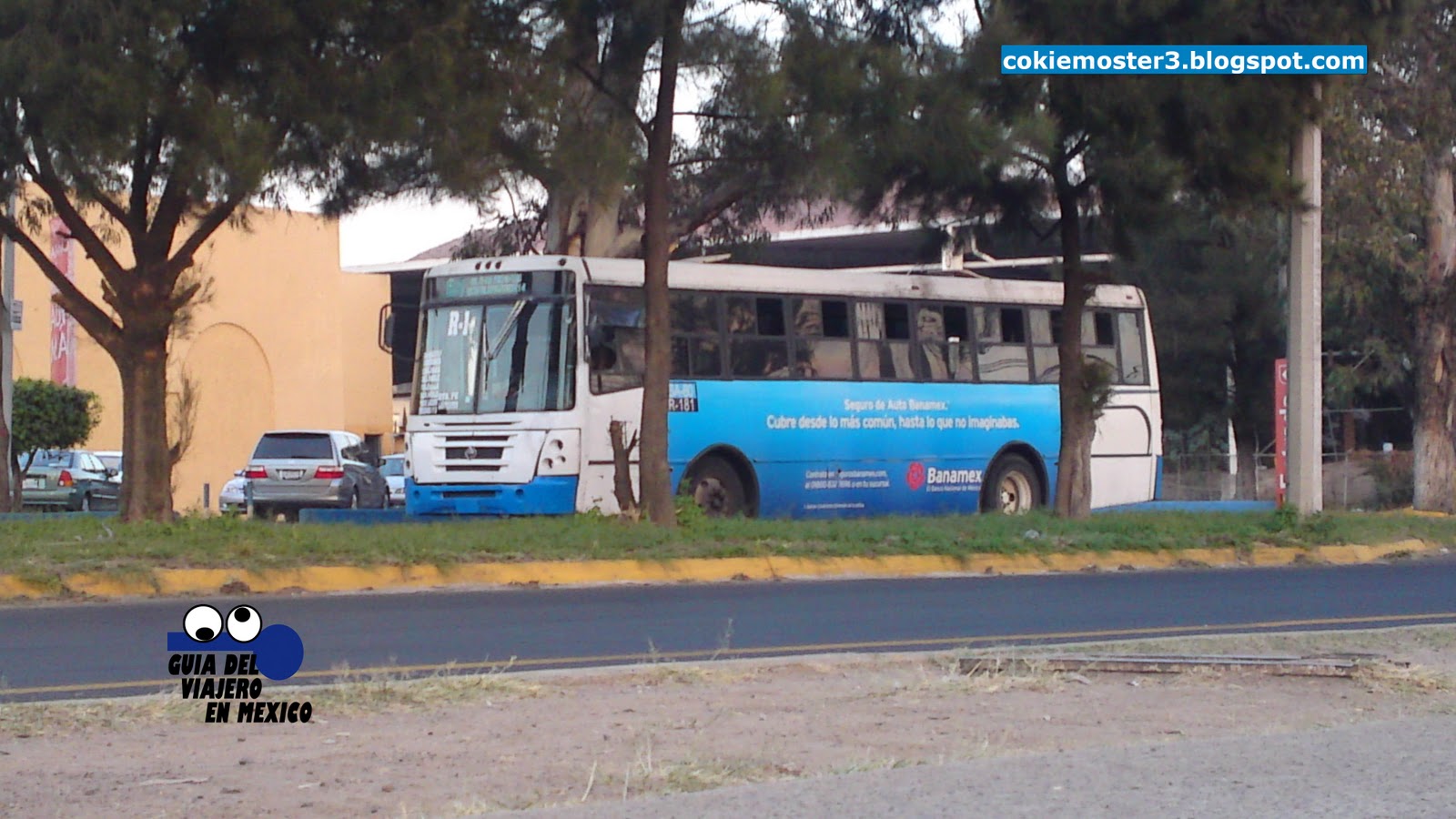 Transporte urbano de Guadalajara