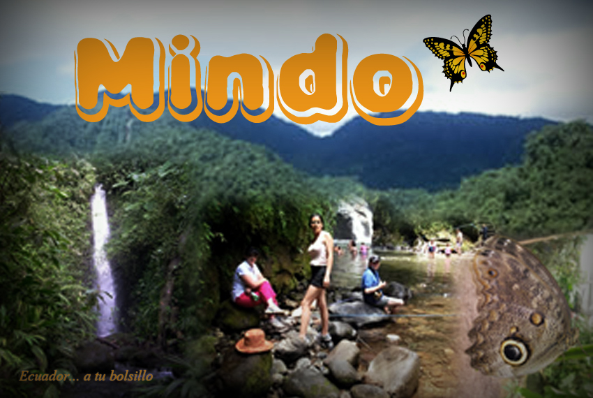 Ecuador... a tu Bolsillo: Mindo