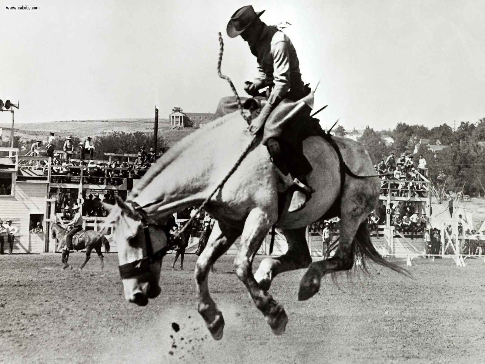 blogadelphia: Rodeo Report