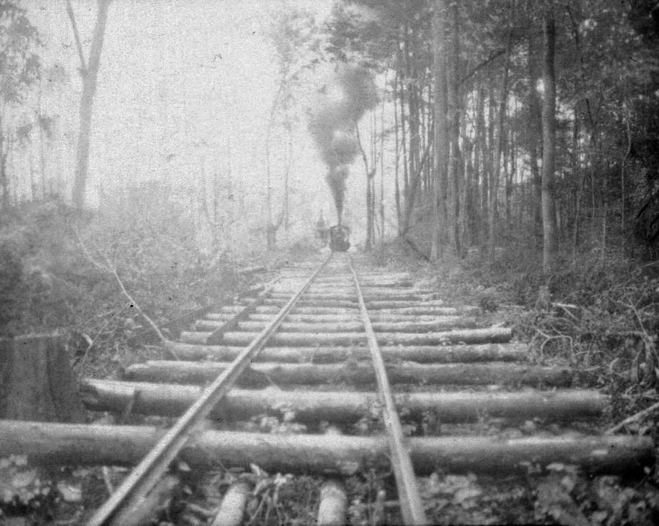 Blackwater & Mosquito Creek Lumber Co.: "Very" Early Track Plan
