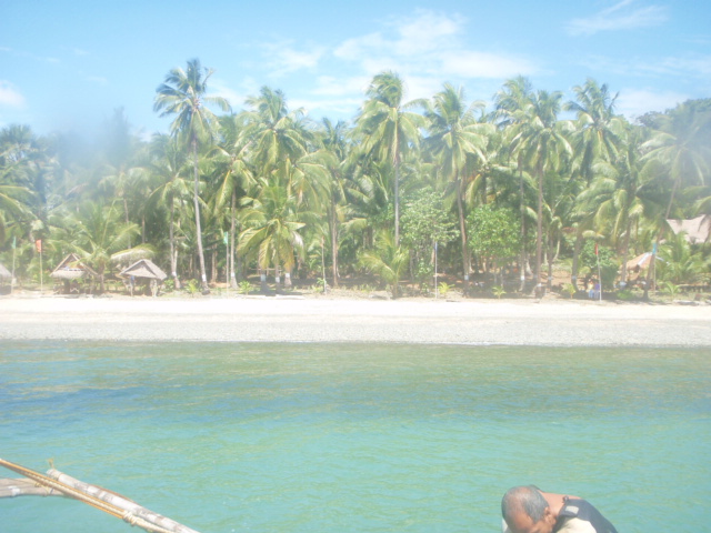 Banate-Barotac Bay Resource Management Council, Inc.: Another Coral ...
