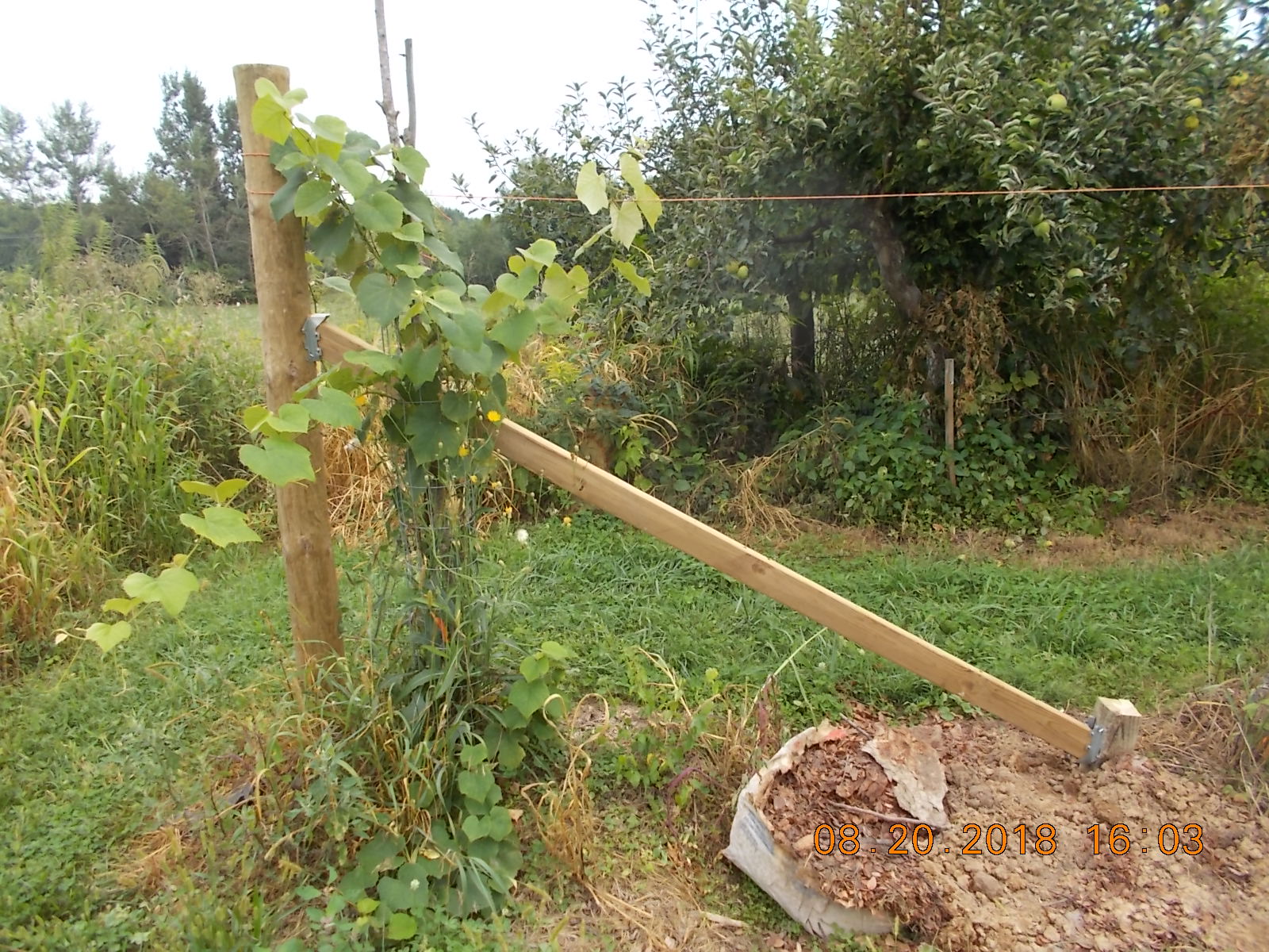 Eaton Rapids Joe: Bracing end-posts in the ERJ vineyard