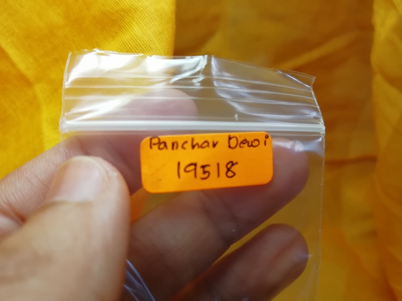 BLOG UTAMA Y.M PADUKA AYAHANDA PAY 8: KING PANCHAR DEWA