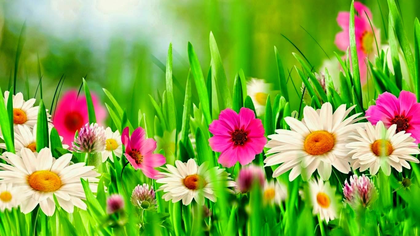 Koleksi Bunga Untuk Header Blog Dan Facebook - Relaks Minda