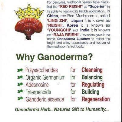 DXN Ganoderma