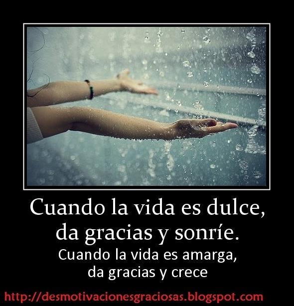 ver imagenes de amor online desmotivaciones con frases poemas rosas ...