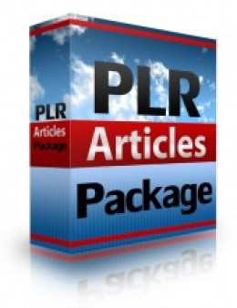 The Blog Quarter: Using PLR Articles to Help Your Internet Business