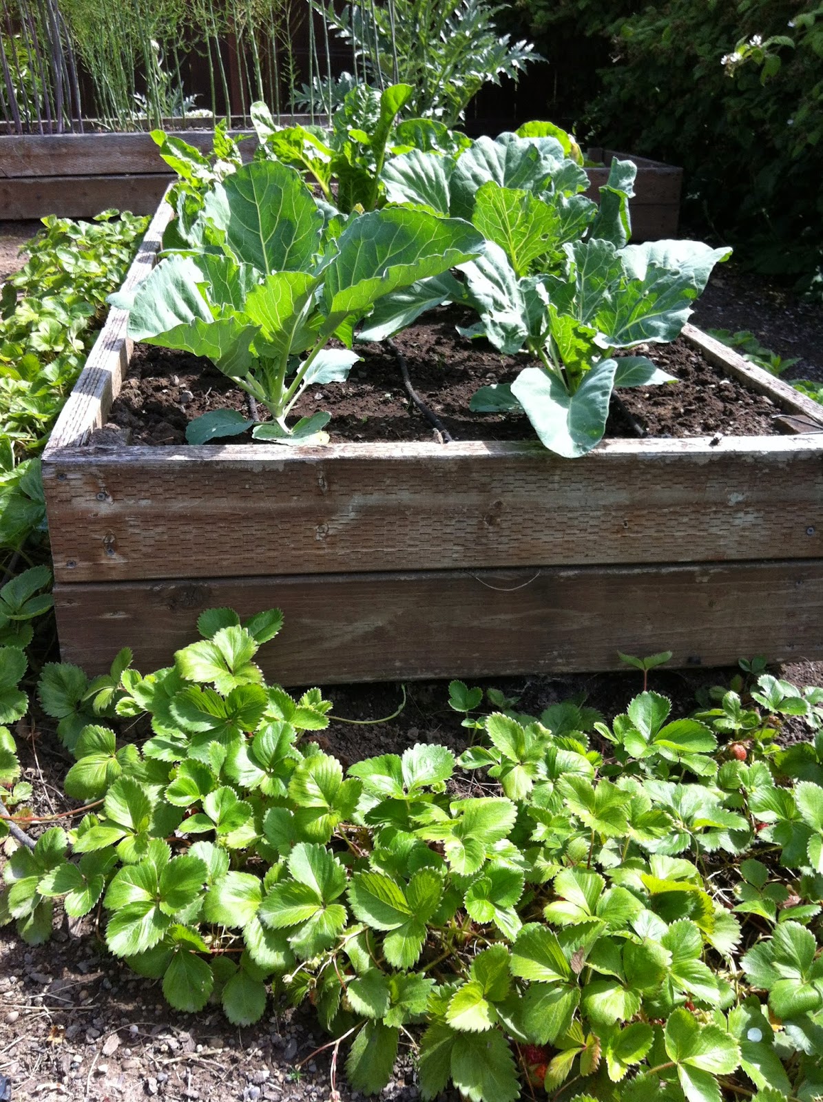 OSU Master Gardener(TM): 10 Cool Gardening Studies Published in 2014