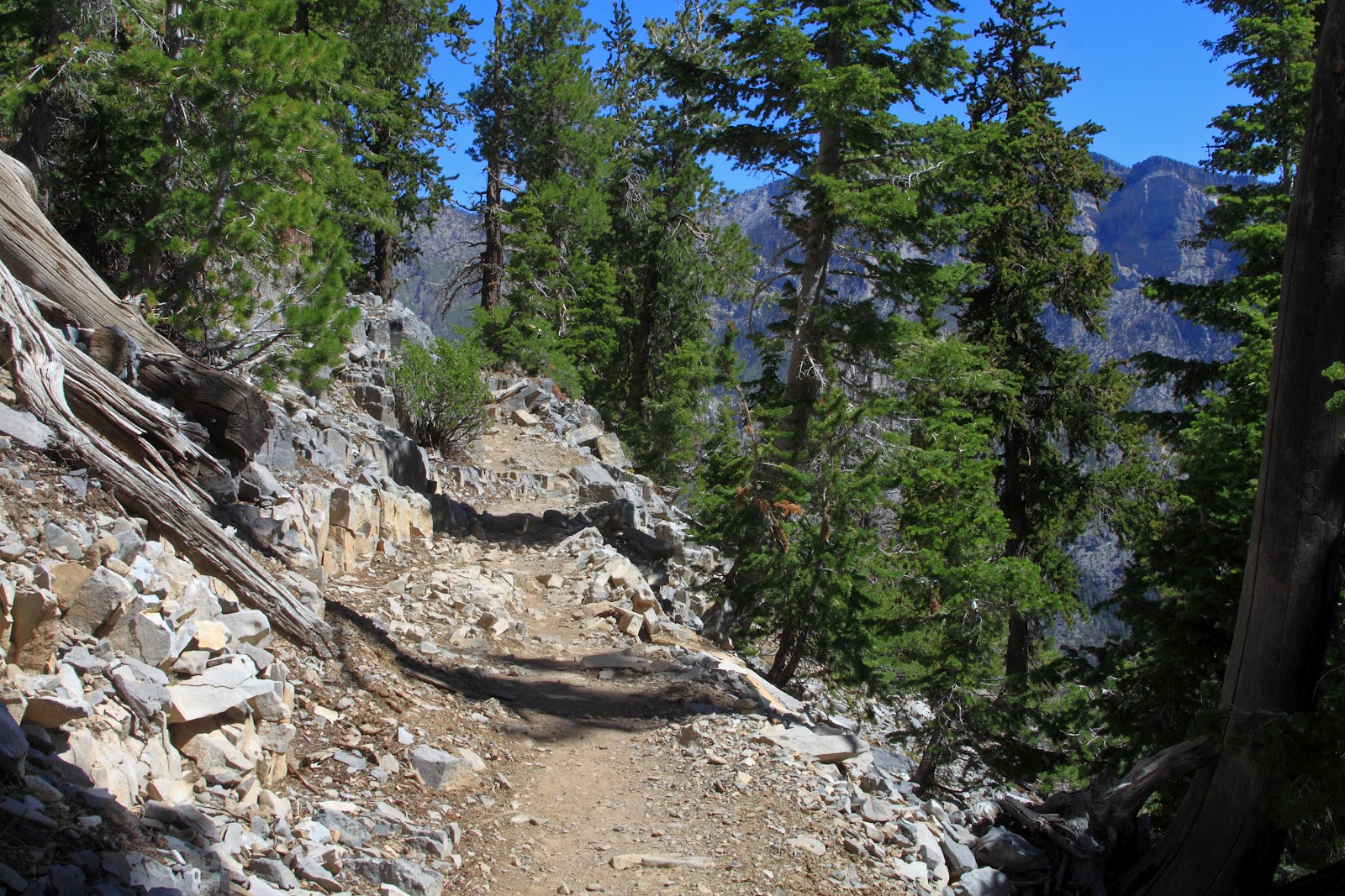 Around the Bend Friends ®: Griffith Peak via South Loop - 6/19/12