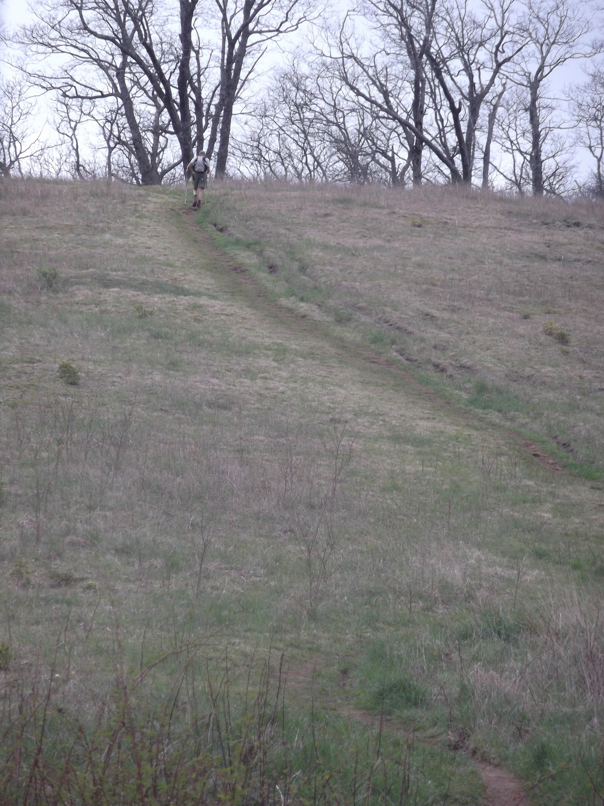 Appalachian Trail Section hiking: Winding Stair Gap to Wayah Shelter