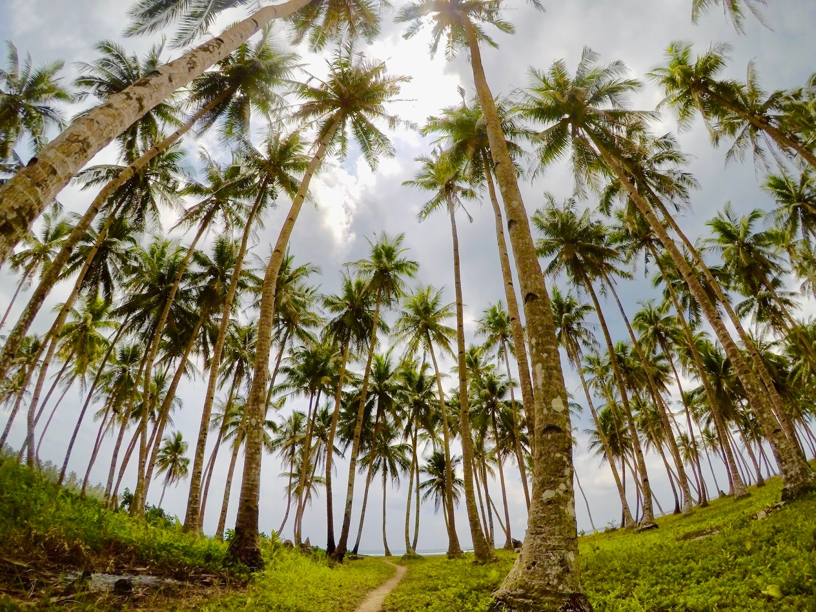 KIKO + MANILA: Siargao, Philippines