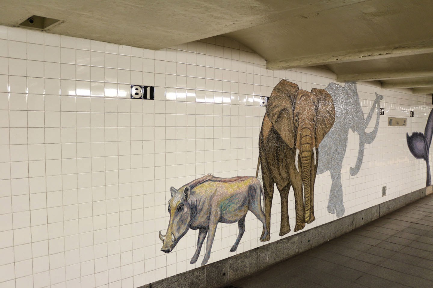 66 Square Feet (Plus): Scenes from a Wild Edible walk in Central Park