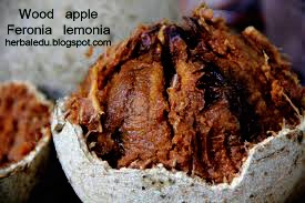 Feronia lemonia-Divul-දිවුල් - மரம் ஆப்பிள் - wood apple - Herbal ...