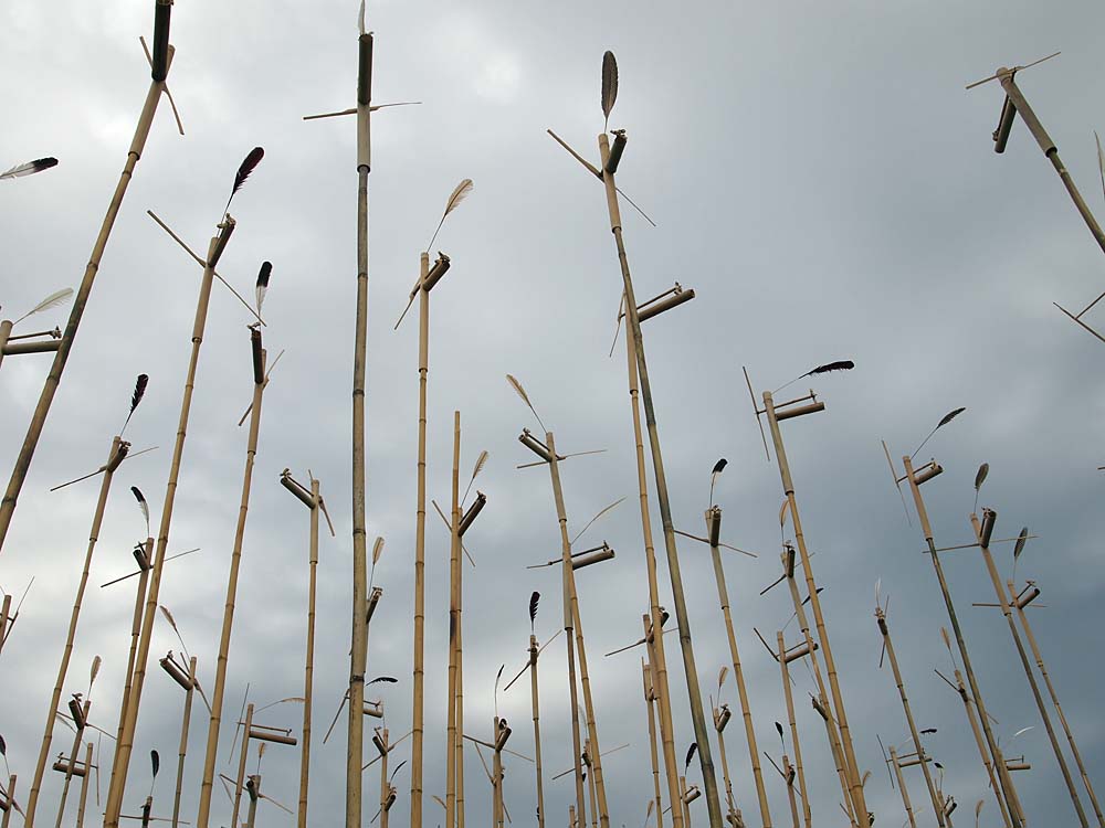 Dennis Argall: PHOTOGRAPHY: Sculpture by the Sea