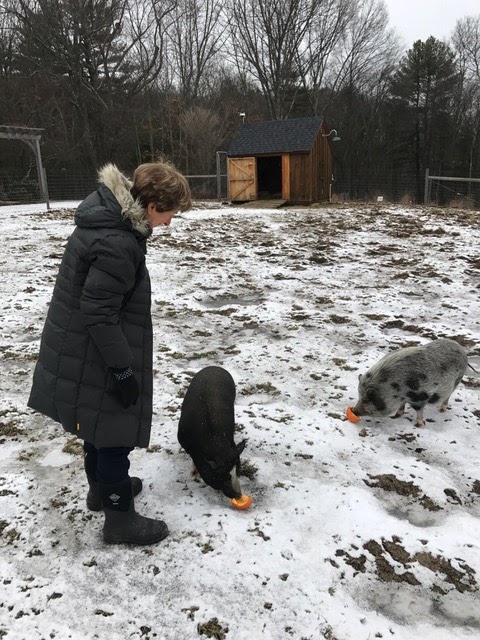 Dispatch from the Digital Health Frontier: Building Unity Farm ...