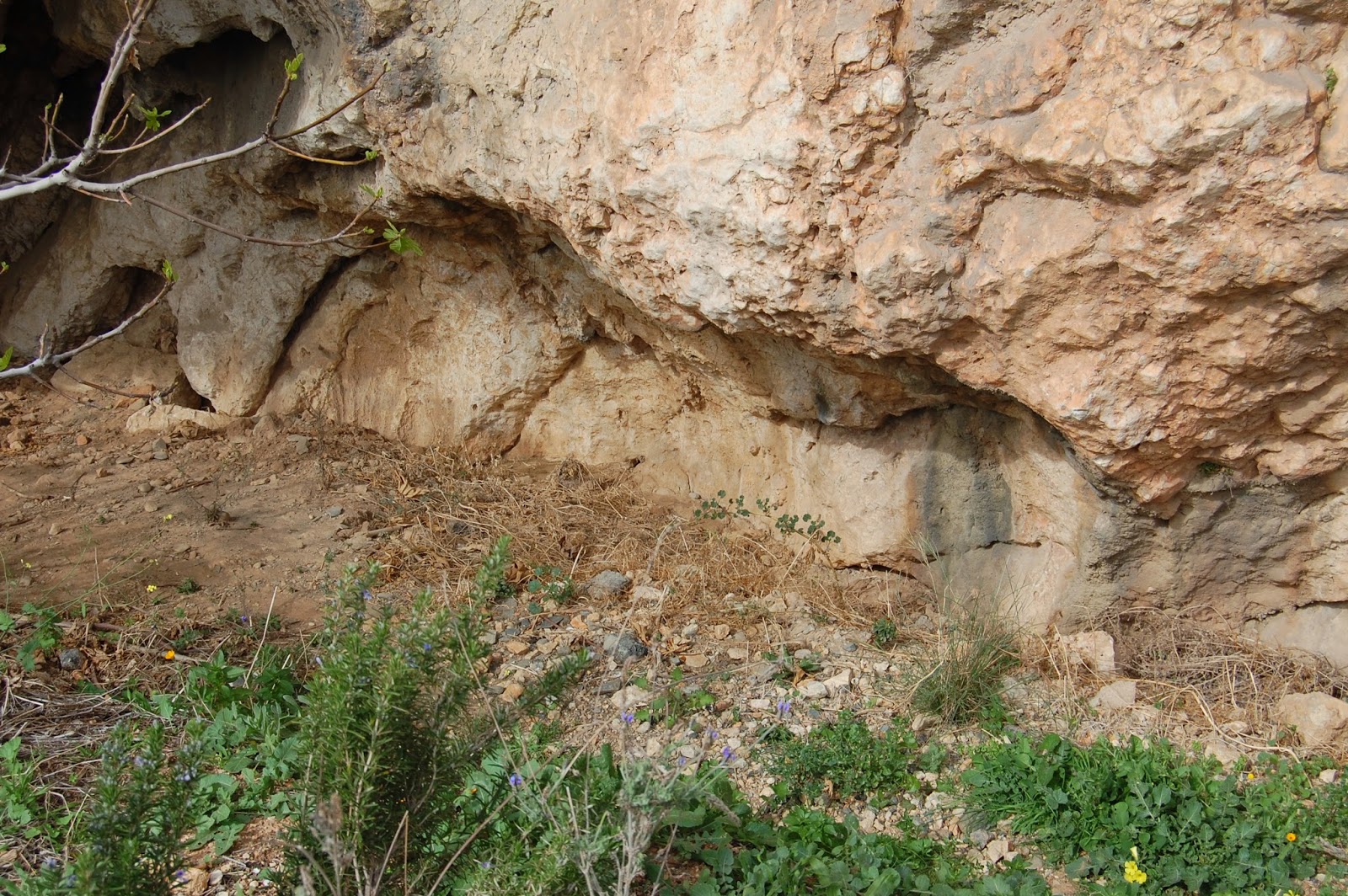 Yacimientos Arqueológicos de la Araña: LAS HUELLAS DE UNA TRANSGRESION ...