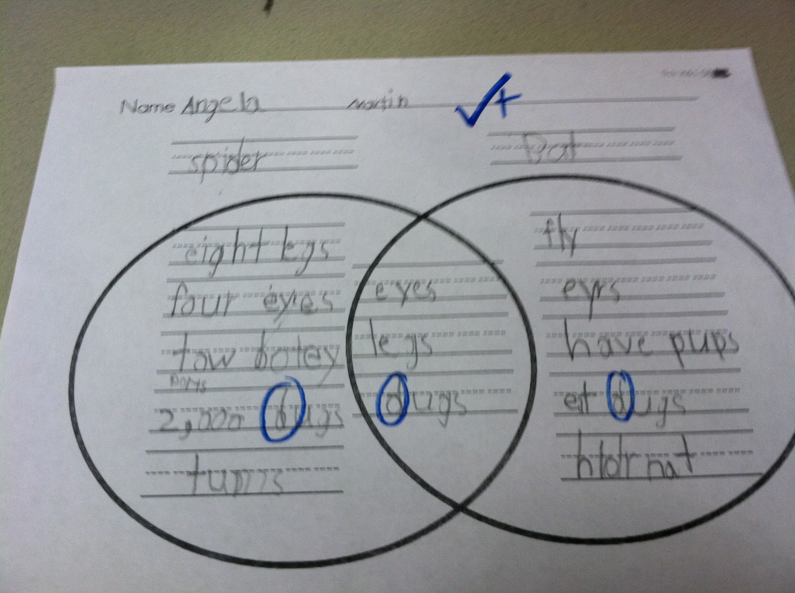 First Grade Fabulous Fish: Pumpkins, Spiders, and Bats . . . Oh, MY!!!