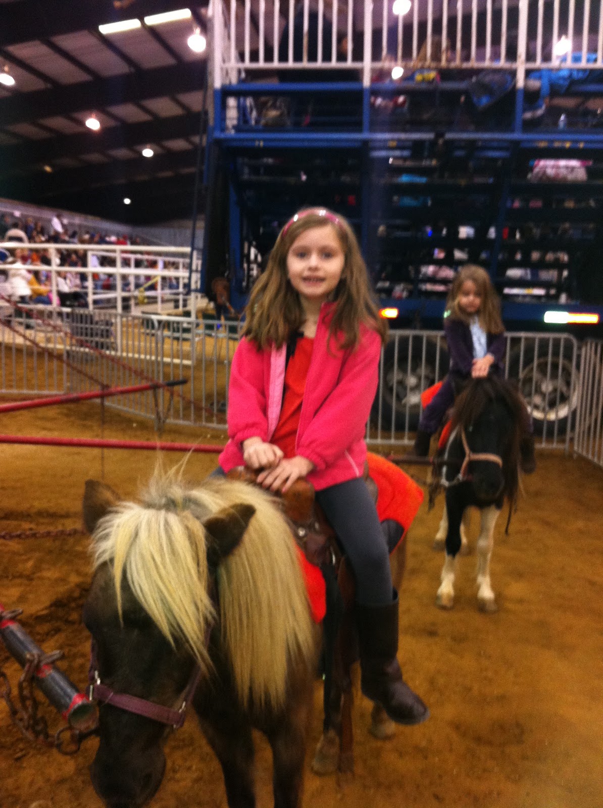 Shankupdate: Riding Ponies at the Circus