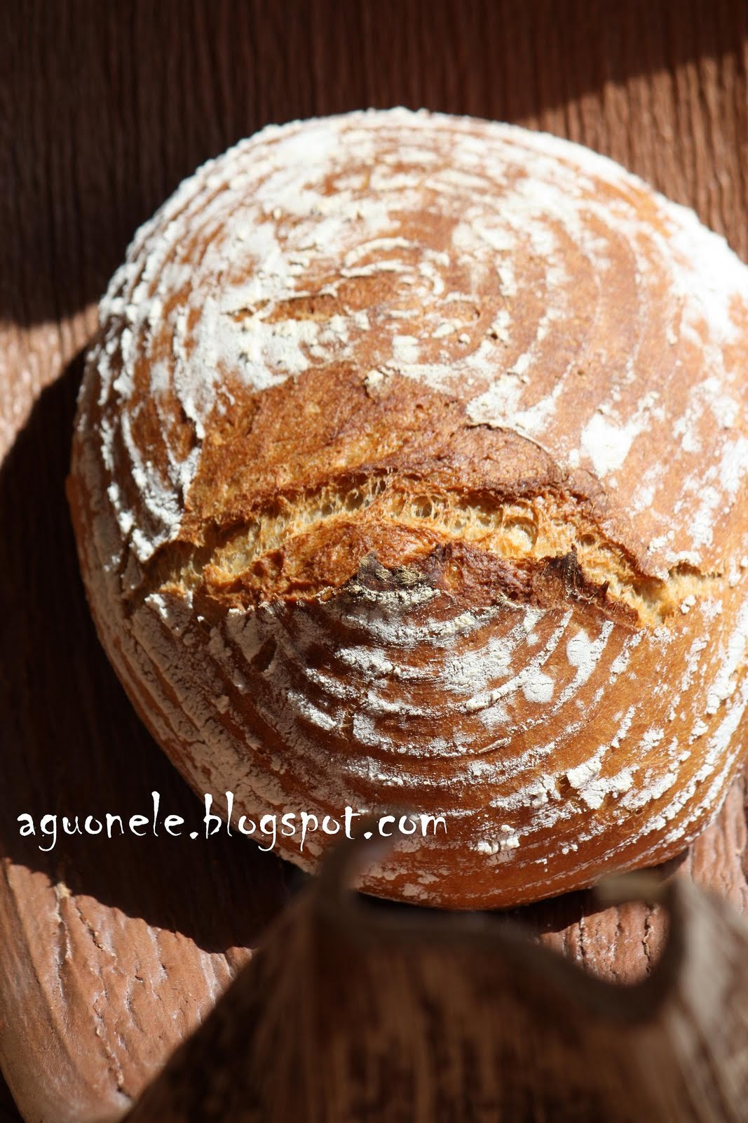 aguonėlė: Bazelio duona