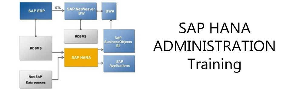 Explore The Skills With Sap Hana Admin Certification Course
