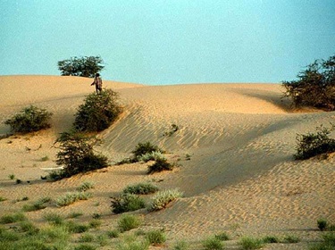 GEOMORFOLOGÍA PERUANA ~ Mundo Geografía