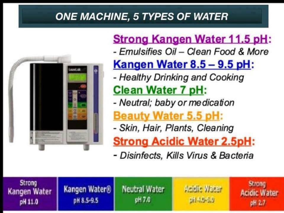 Sen Trắng: STRONG KANGEN WATER - NƯỚC KIỀM MẠNH | PH 11,5