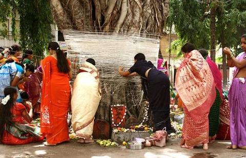 Vat Savitri Vrat | About Vat Savitri Vrat | Vat Savitri Vrat Katha ...