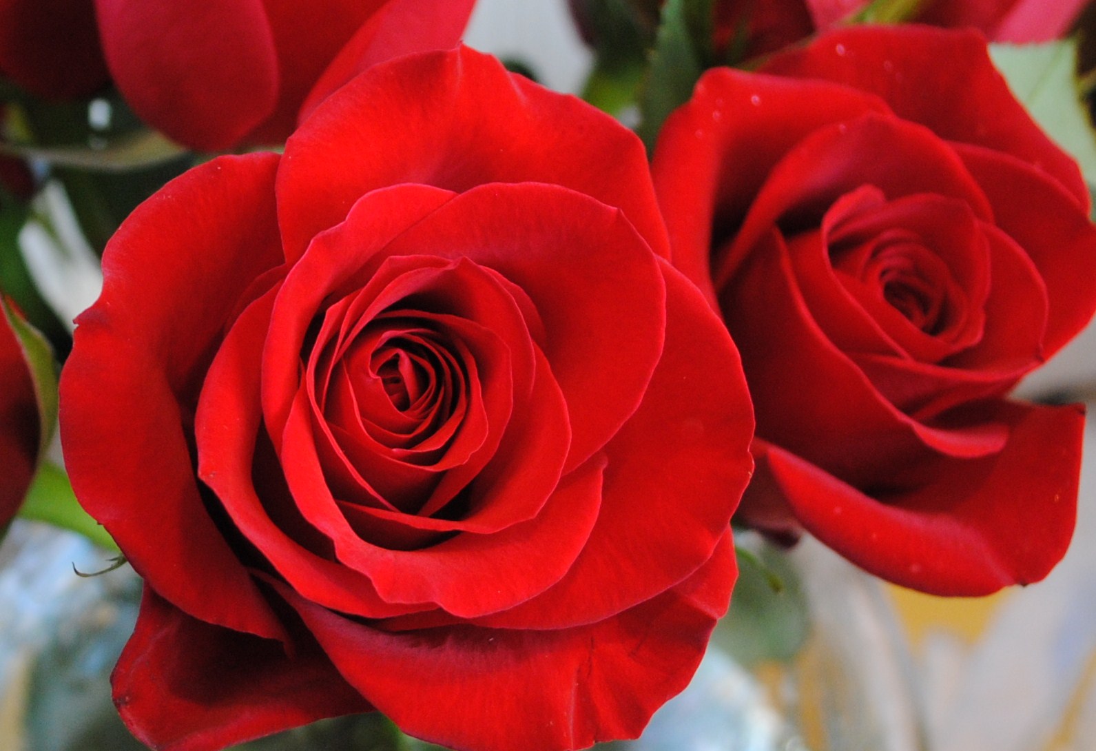 That Old House: Oh, Shiny Things!