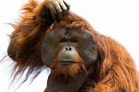 Fuss: Klikk her: GRUBLE.NET