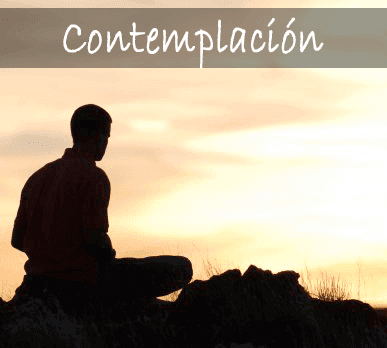 Contemplación ~ Orando Solos Juntos