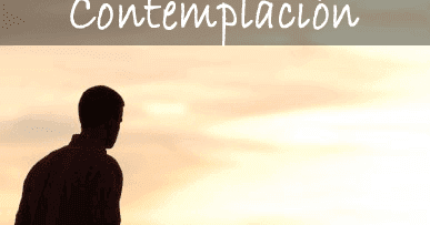 Contemplación ~ Orando Solos Juntos
