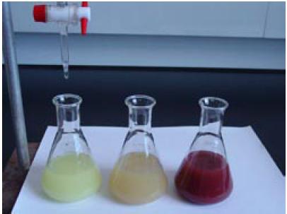 Natalia Purnawanti: Titrasi Pengendapan (Argentometri)