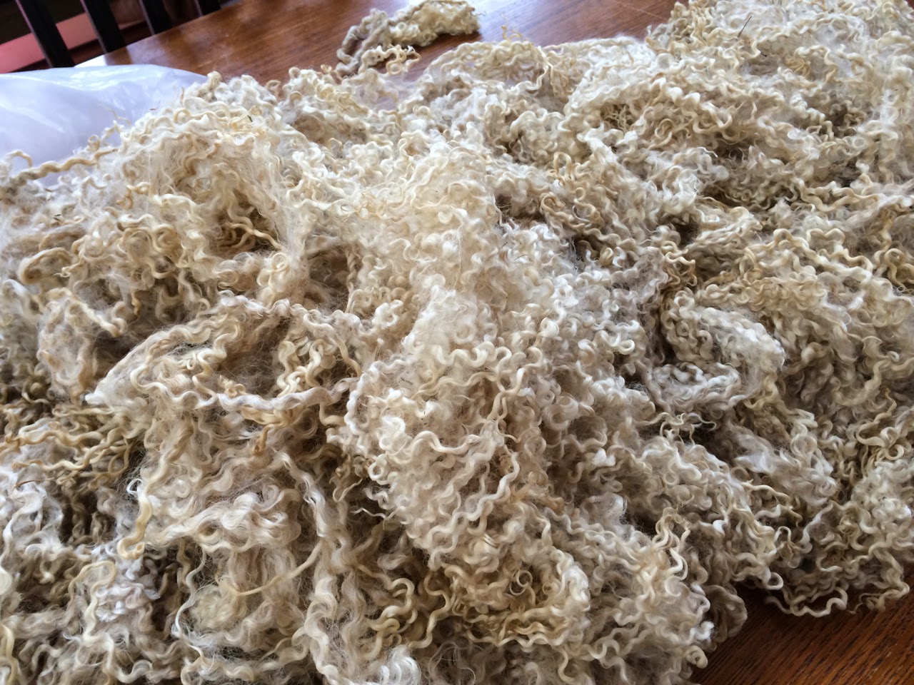 Stash Enhancement: How I Wash Curly Wool For Corespinning