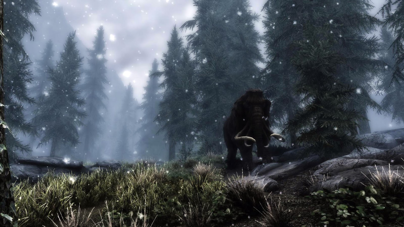 The Screenshot Photographer: Skyrim Shots 17 FEB 2013