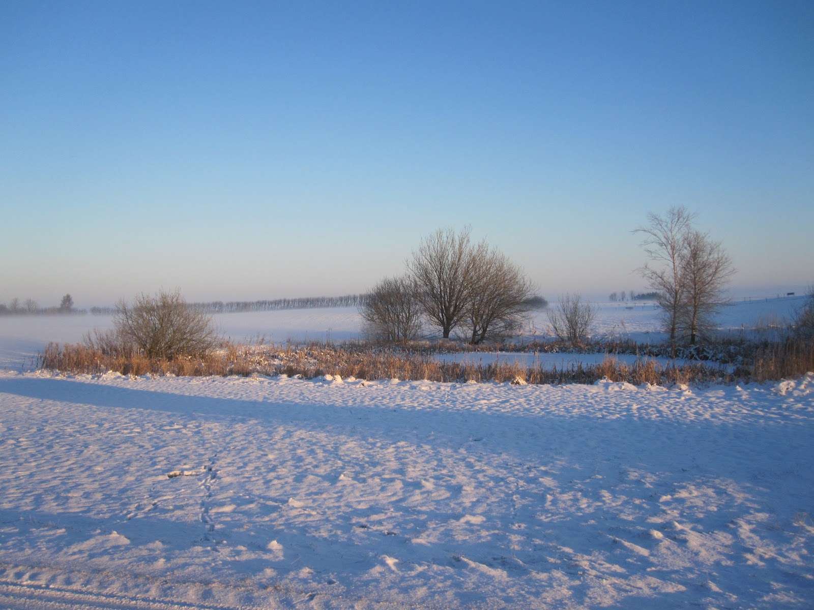 Ditte Sophie: Vinterbilleder