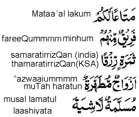 Learn Tajweed and Quraan Free: Example Of Step 8 Tashdeed