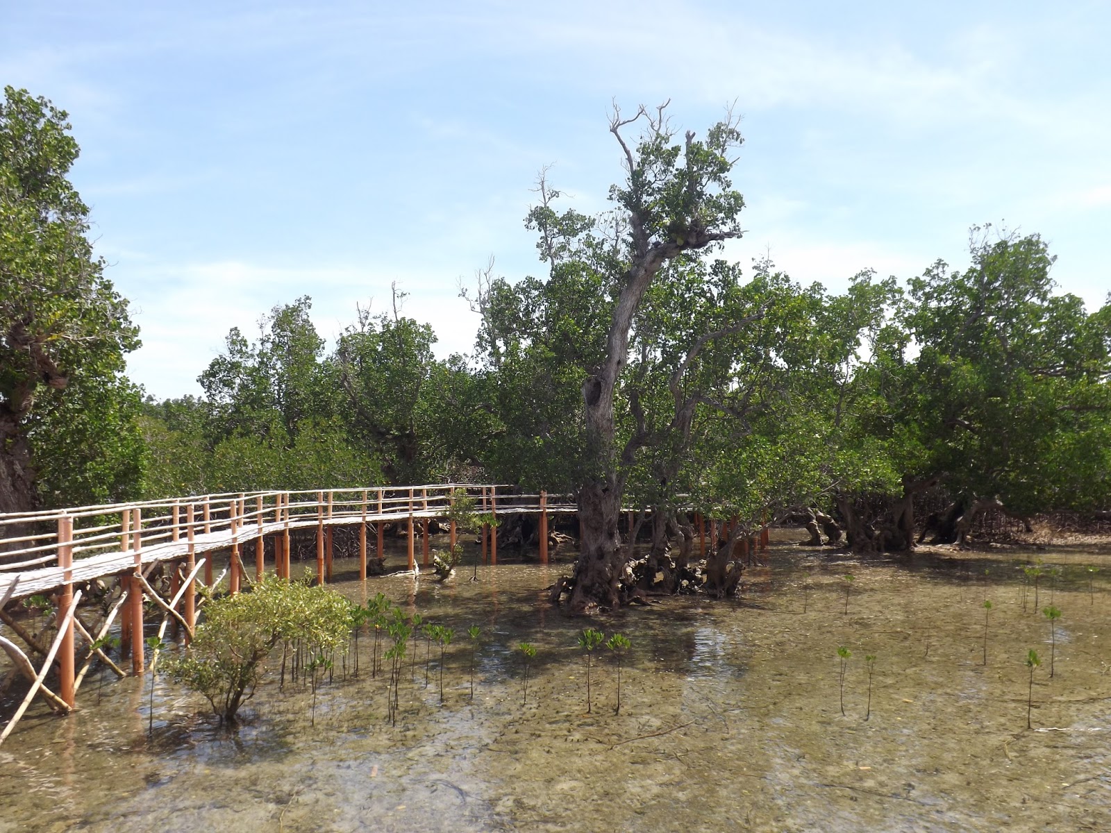 TRAVEL GUIDE: SUYAC ISLAND PHILIPPINES - Touristang Pobre