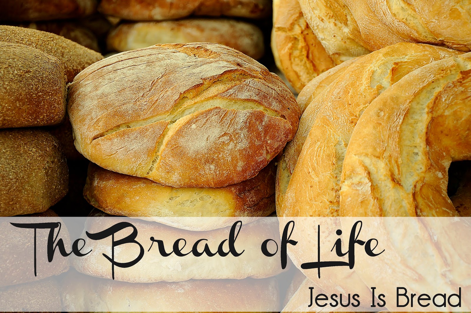 andy at faith: The Bread of Life ~ Jesus Is Bread