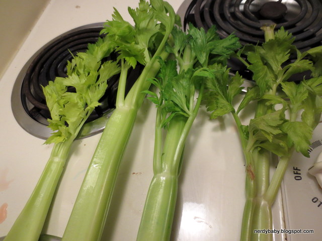 Nerdy Science: Colored Celery Sticks