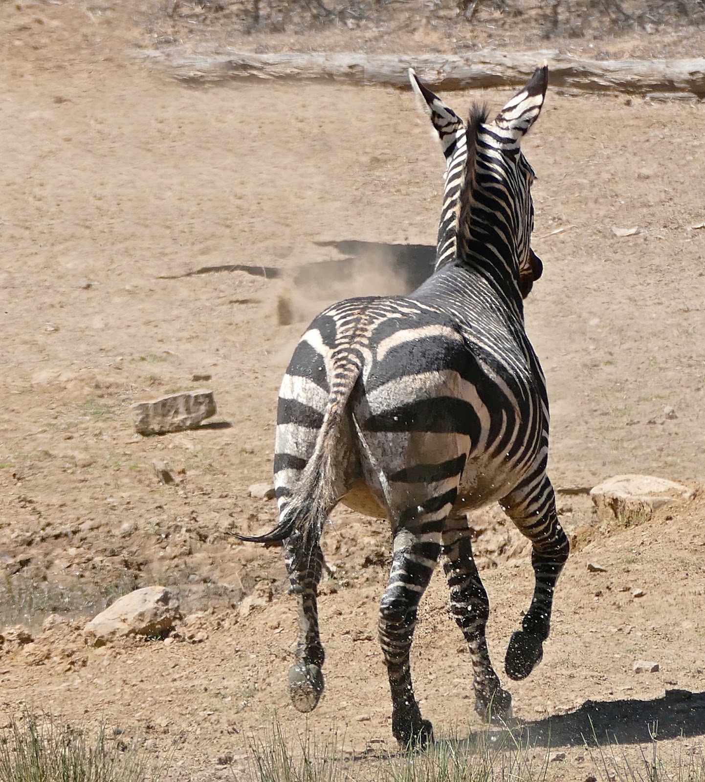 Joyful Public Speaking (from fear to joy): How can you make a public ...